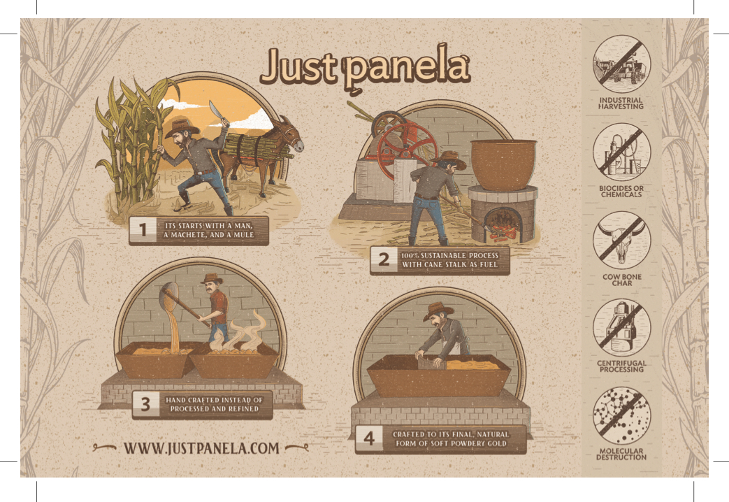 Just Panela - Sara's Organic Eats